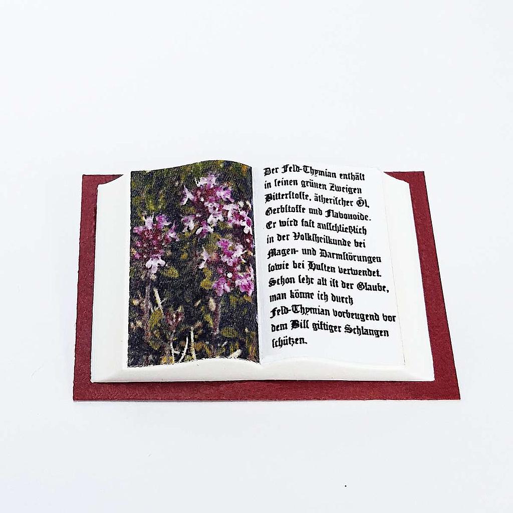 [ MM19360 ] Authentiek kunststof model van een open boek | Modelbouw ...